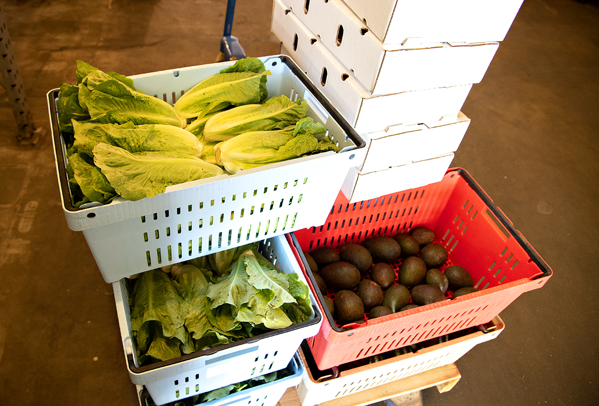 Cal Poly Farm Produce Stars in Vista Grande Venues - Cal Poly Partners